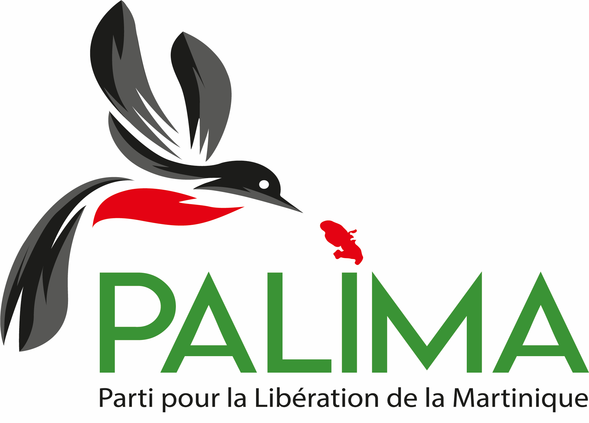 COMMUNIQUÉ DU PALIMA SUR LA LUTTE DES KALI’NAS EN GUYANE – PALIMA ...